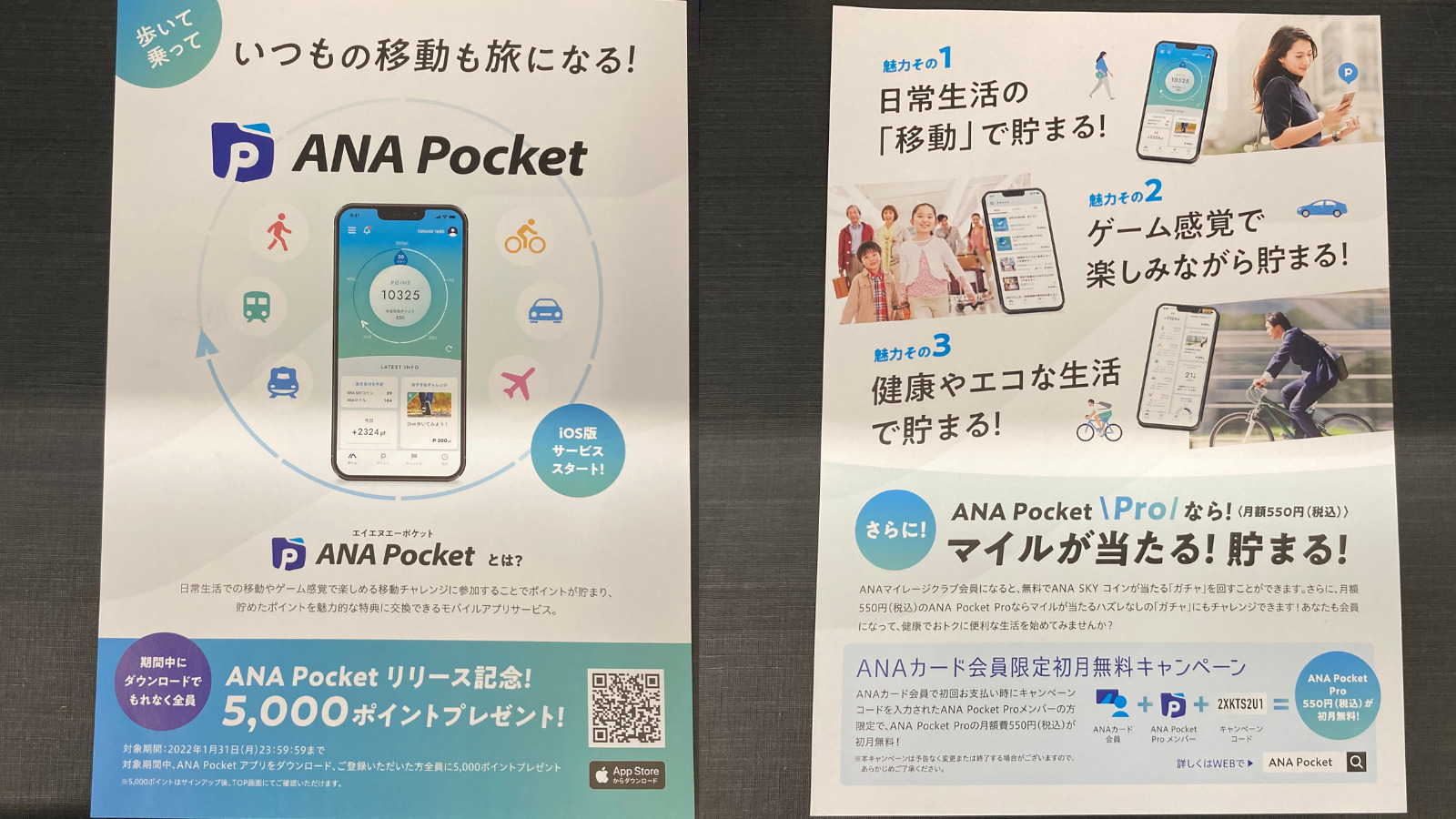 【移動するだけ！】スマホアプリ『ANA pocket』を2ヶ月使ってみた感想｜まぼブログ